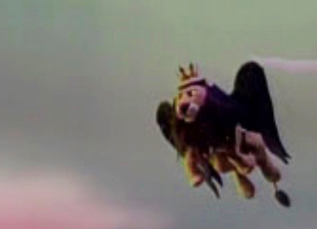 Flyin' Lion | purple tint – Proctor Surfboard Shop