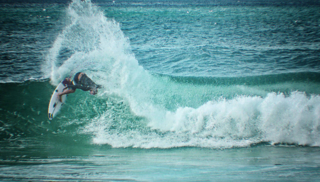 Flyin' Lion | purple tint – Proctor Surfboard Shop